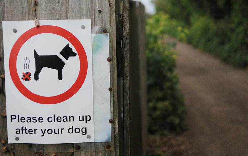 Have your say on dog fouling measures - Aycliffe Today Aycliffe Today